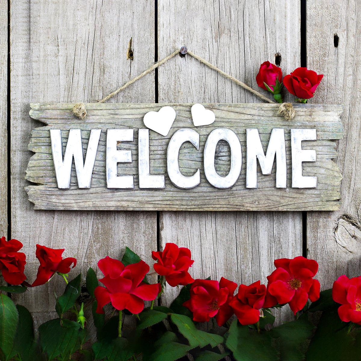 Country Rose Info, Tips and Recipe Blog